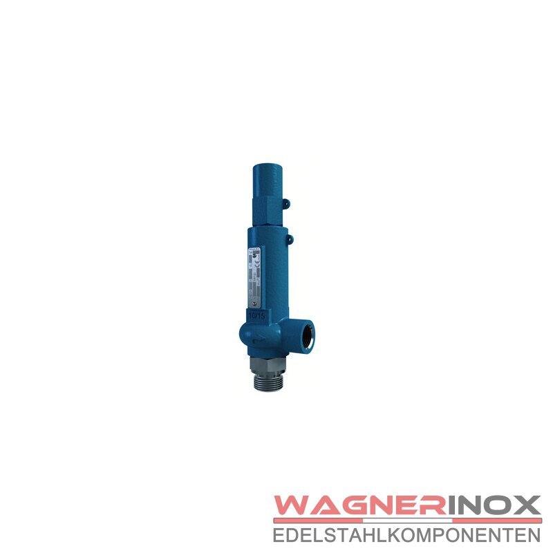 Entlastungsventil federbelastet mit gasdichter Kappe 3/4" 1.4104, 808,12