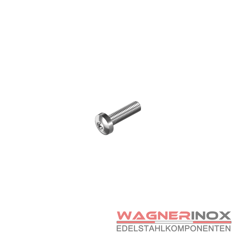 Edelstahl Linsenkopfschraube mit TORX- Antrieb DIN 9460